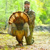 The Plot Blaster Story: How It All Started